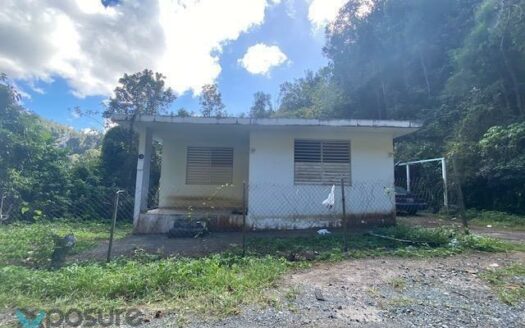 Ciales Casas a la venta | BoricuaHomes.com