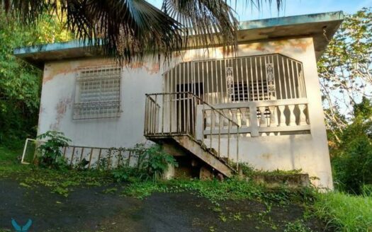 San Lorenzo Casas a la venta | BoricuaHomes.com